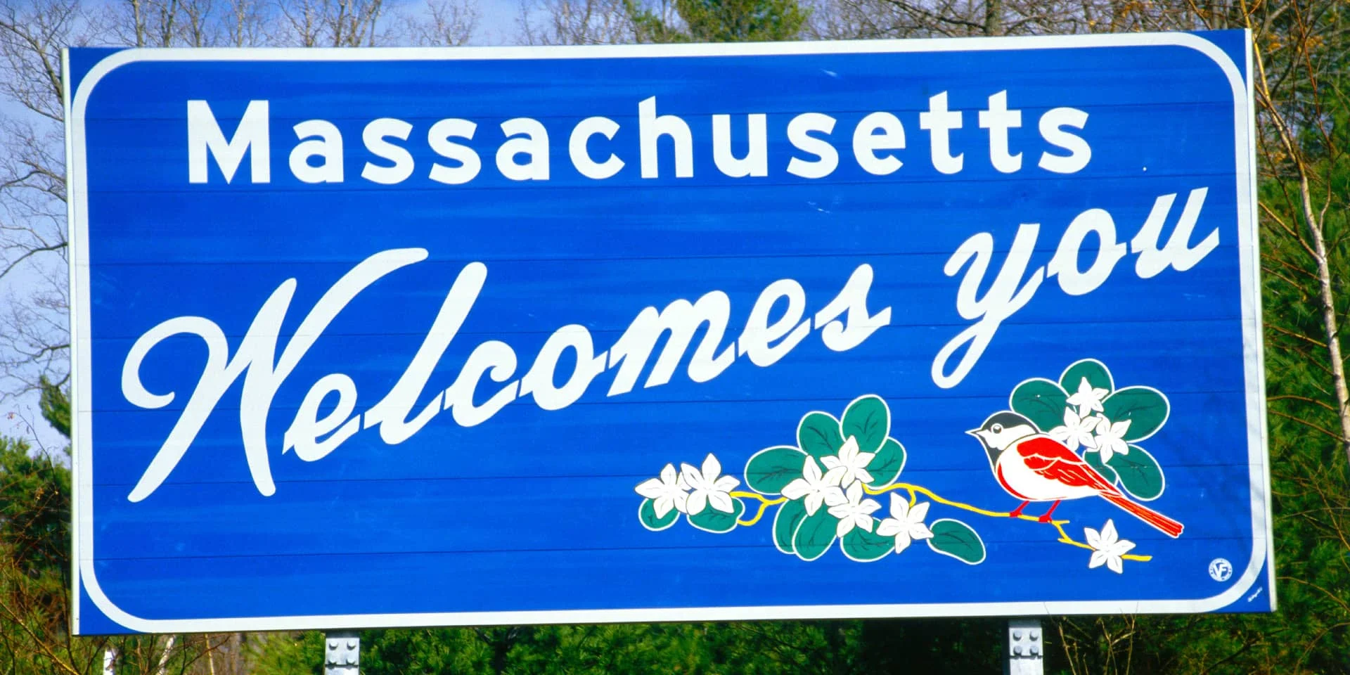 The Definitive 2025 Guide to S Corps in Massachusetts