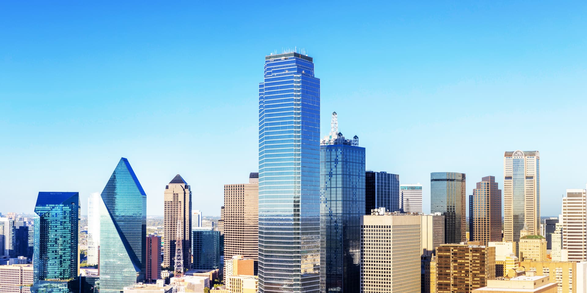 Texas LLC Annual Report: Everything You Need to Know